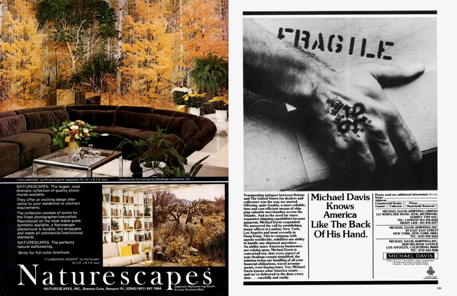 MICHAEL DAVIS | Architectural Digest | JANUARY/FEBRUARY 1980