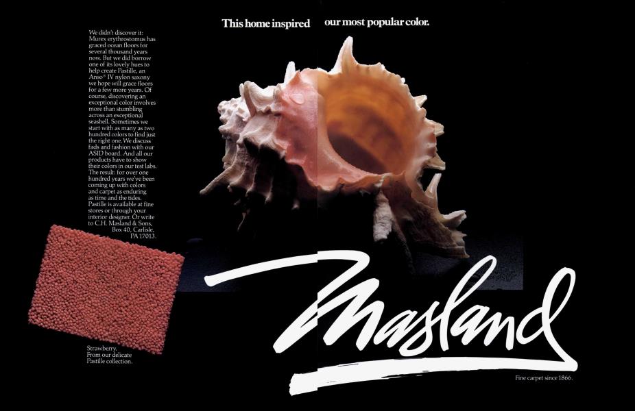 Masland | Architectural Digest | JUNE 1984