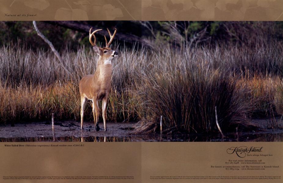 Kiawah Island® | Architectural Digest | OCTOBER 2004